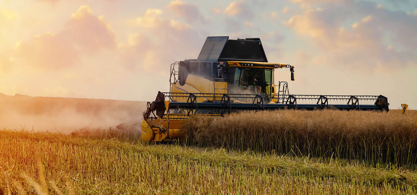 Centro de Formación Agropecuaria