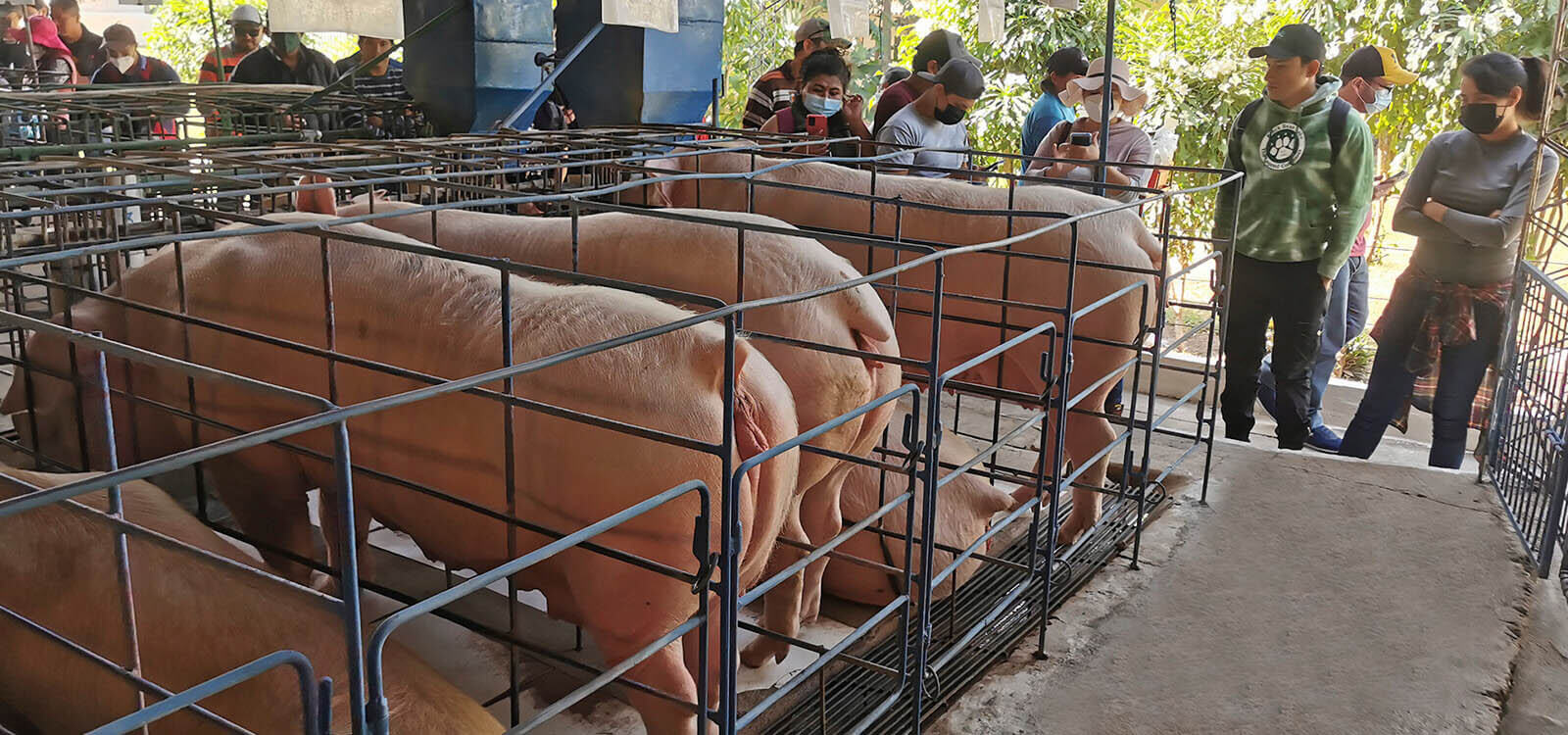 Centro de Formación Agropecuaria